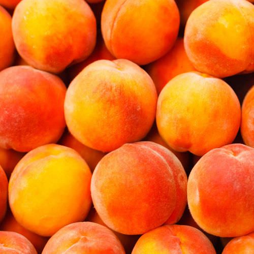 Sadnice breskve | Prodaja sadnica breskve u Beogadu