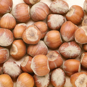 Sadnice lešnika | Prodaja sadnica lešnika u Beogadu