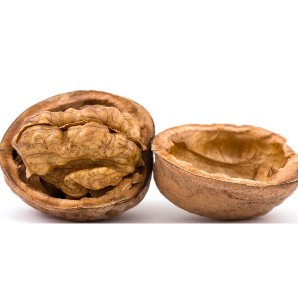 Sadnice oraha | Prodaja sadnica oraha u Beogadu