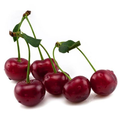 Sadnice višnje | Prodaja sadnica višnje u Beogadu